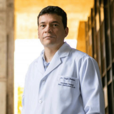 Imersão Profissional - sinpain